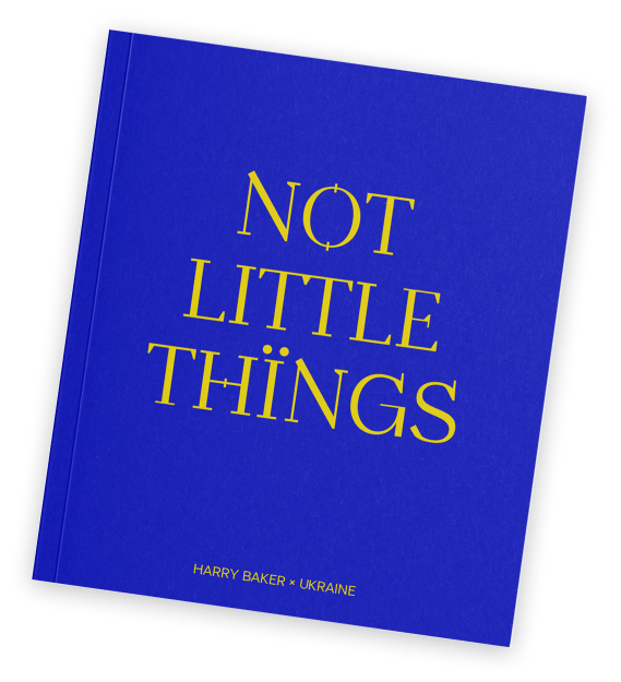 Not Little Thїngs